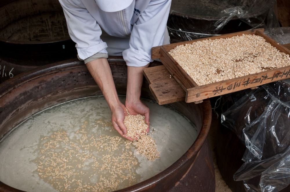 Visit Okawa in Fukuoka Prefecture to explore its 300-year-old vinegar ...