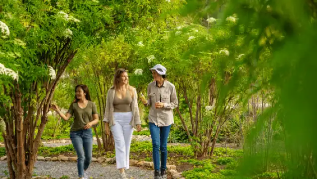Adelaide Hills: Jurlique Farm Tour | Trip.com