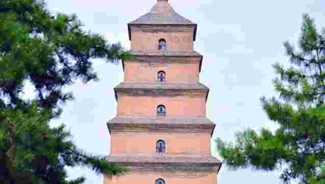Terracotta Army&Big Wild Goose Pagoda Private Day Tour | Trip.com