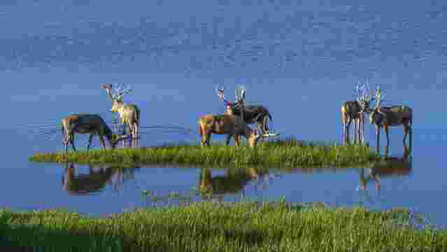 Encounter the Charms of Shanghai and Yancheng with 4-day and 3-night ...