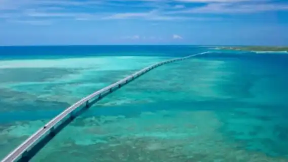 From Miyakojima: 1Irabu and Kurima Islands Guided Photo Tour | Trip.com