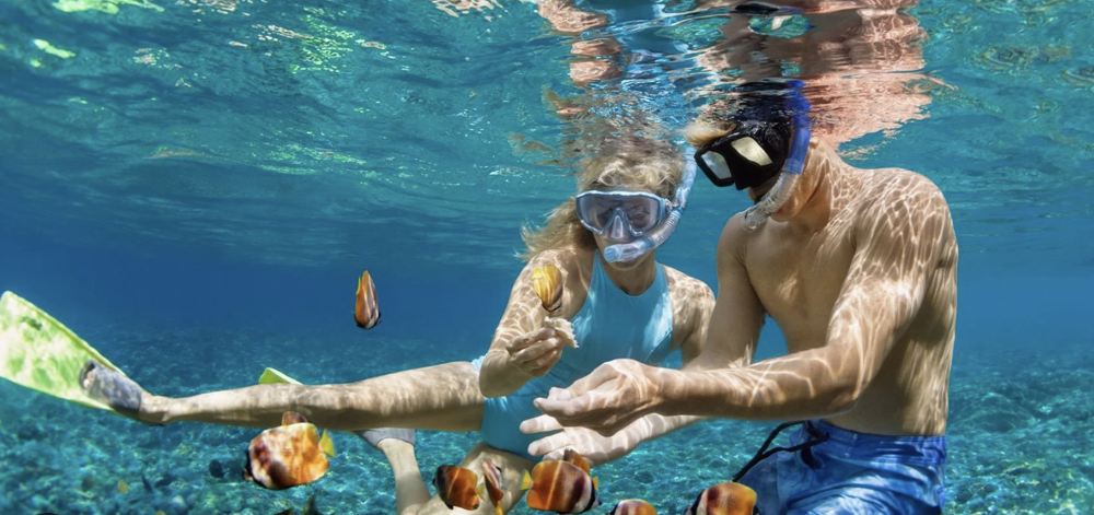 Pengalaman menyelam 2 Jam di Nusa Penida, Bali, Indonesia [Pengalaman ...