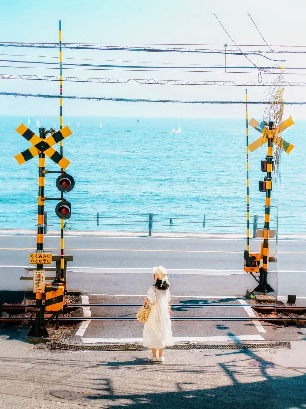 [Tokyo] Kamakura & Enoshima Electric Railway Experience + Kamakura High ...