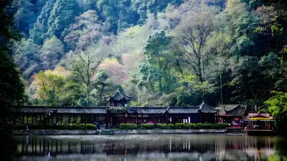 Depart from Chengdu: one-day tour of Qingcheng Mountain (summer ...