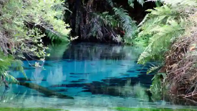 New Zealand Waikato Hobbiton Movie Set + Glowworm Caves + Blue Spring ...