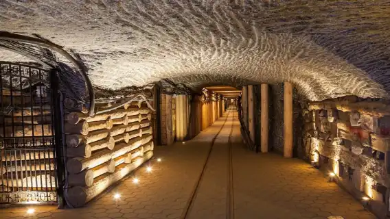 Auschwitz-Birkenau & Salt Mine Tour in One Day from Krakow | Trip.com