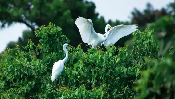 [Huzhou im Detail] Reiseleiter in der Innenstadt von Huzhou ...