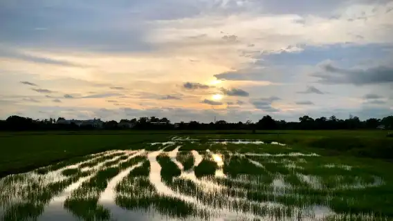 Penang: ATV Riding in Balik Pulau with Snacks and transfer service ...