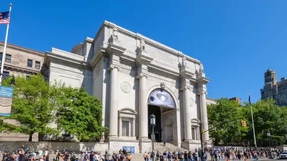 New York Public Library - Stephen A. Schwarzman Building + Natural ...