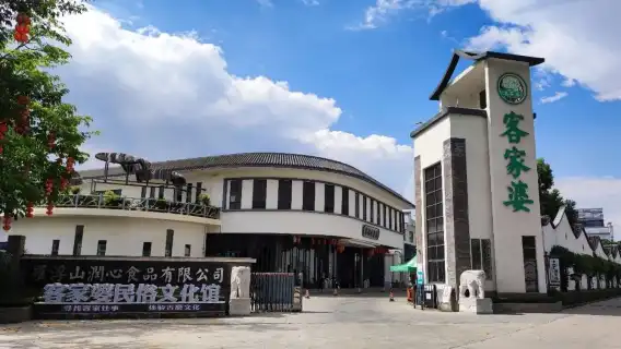 Guangdong Luofu Mountain Scenic Area + Longhua Xuri Village + Yanxiang ...