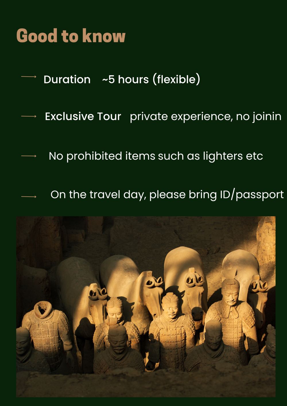 Exclusive Private Day Tour Terracotta Warriors & Lishan park with Car ...
