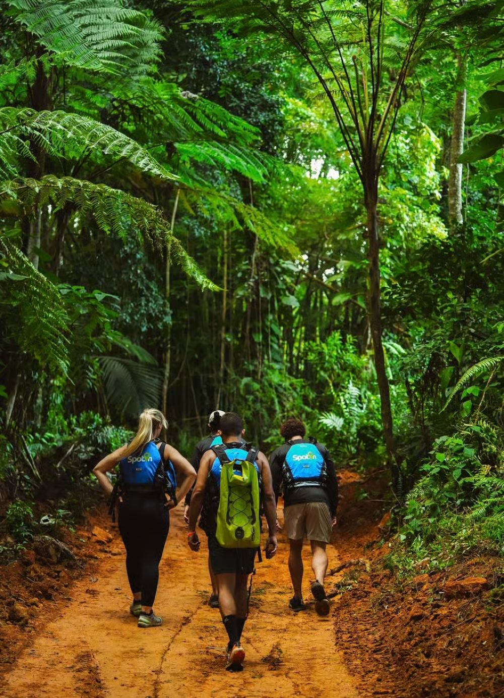 Tagesausflug mit Wanderung und Ziplining im Regenwald El Yunque in San ...