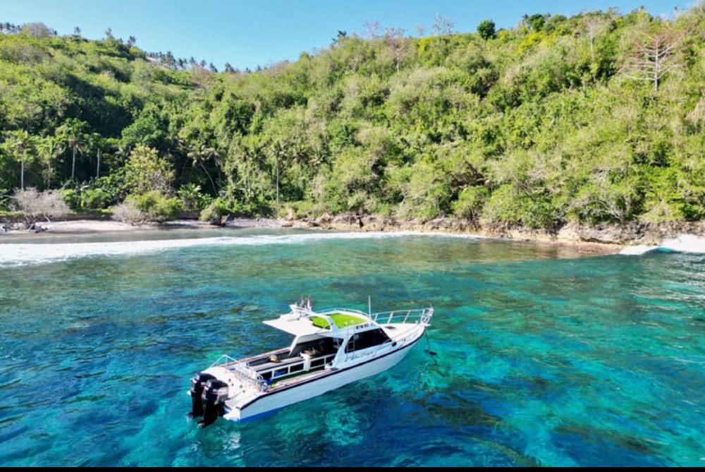 Pengalaman menyelam 2 Jam di Nusa Penida, Bali, Indonesia [Pengalaman ...