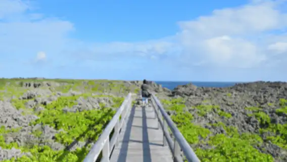 From Miyakojima: 1Irabu and Kurima Islands Guided Photo Tour | Trip.com