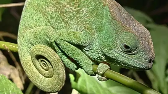 Madagascar [Starting from 2 people | Exclusive private charter 7-day ...