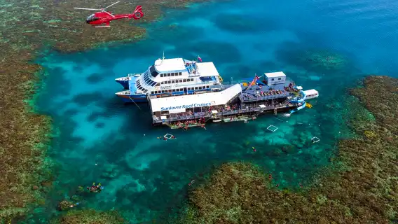 Cairns Sunlover Great Barrier Reef 1-day tour [Moore Reef/Single Reef ...