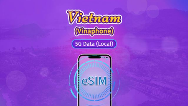 Vietnam Arrival Card (NA1 Form) Online Guide & Entry Process | Trip.com