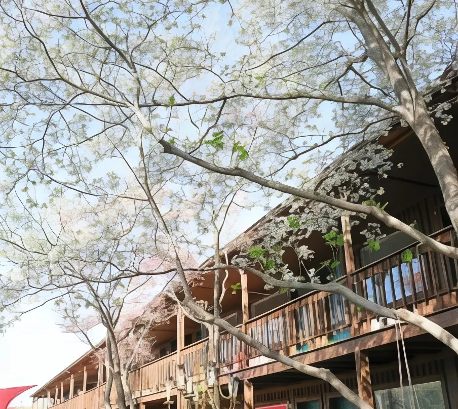 Shady Cliff Resort - Kentucky