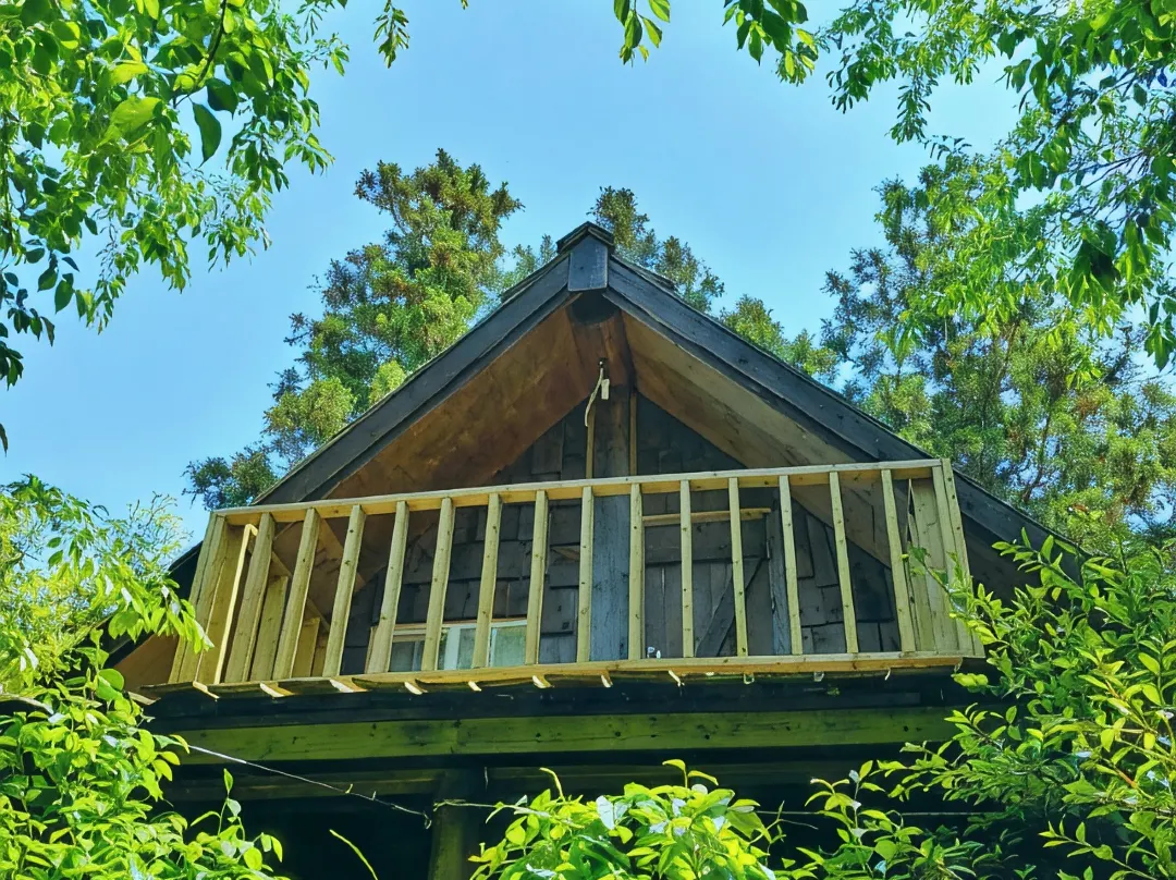 Log Park Dochidol Ranch - Jeju-si