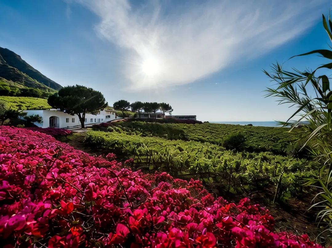 Capofaro Resort - Sicily