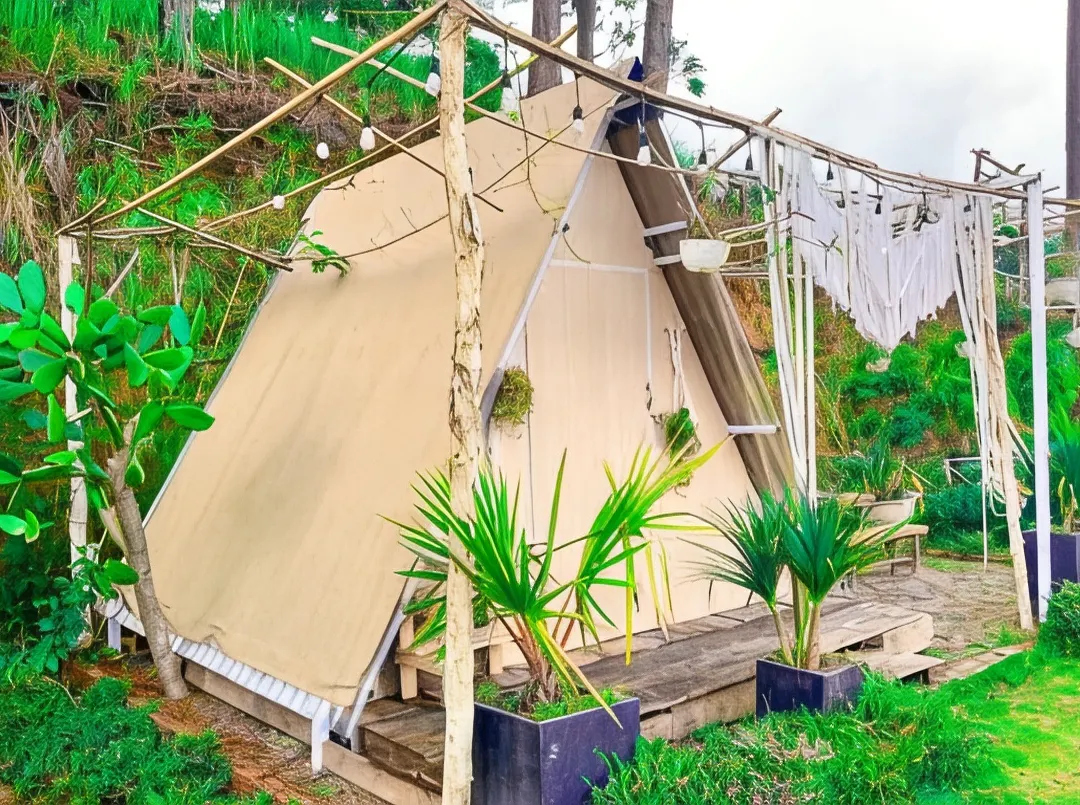 Amikaje Farm - Dalat