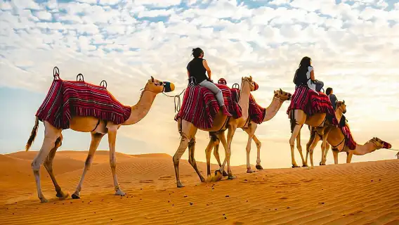 Doha: Inland Sea, Desert Safari, Camel Ride and Sandboarding | Trip.com