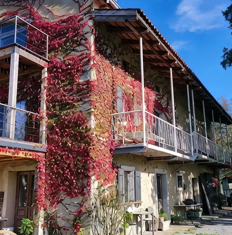 Sunny Grove - Slovenia