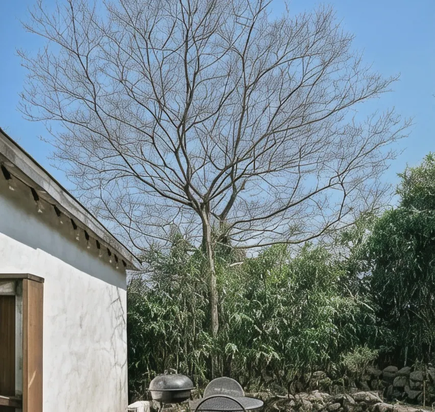Jejuya Pyoseon - 済州