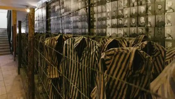 Auschwitz-Birkenau: Skip-the-Line Entry Ticket & Guided Tour | Trip.com