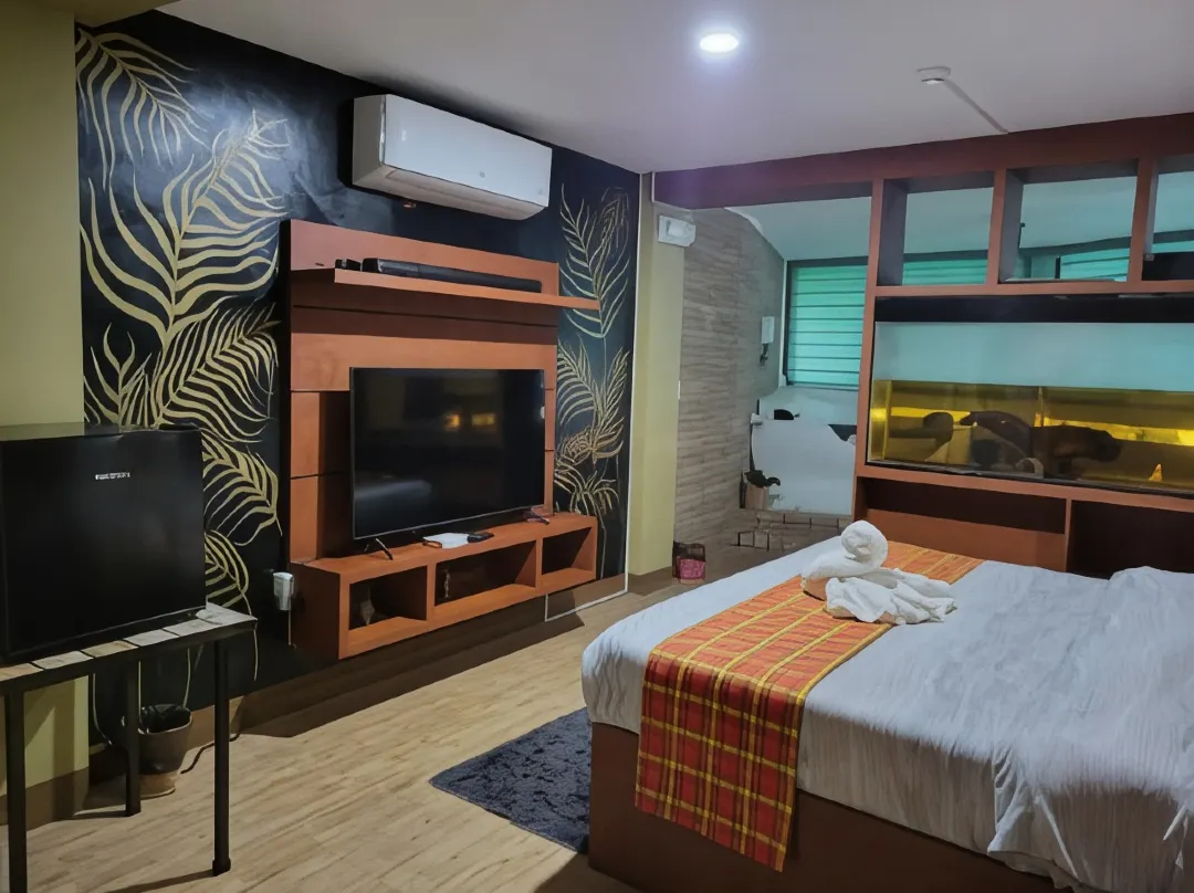 Amazing Coast Co. Ltd. - San Jose de Buenavista