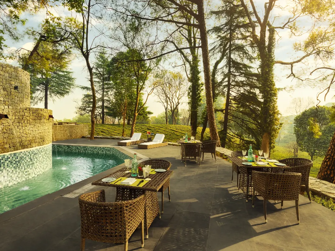 Infinitea Dakbunglow Palampur - Palampur