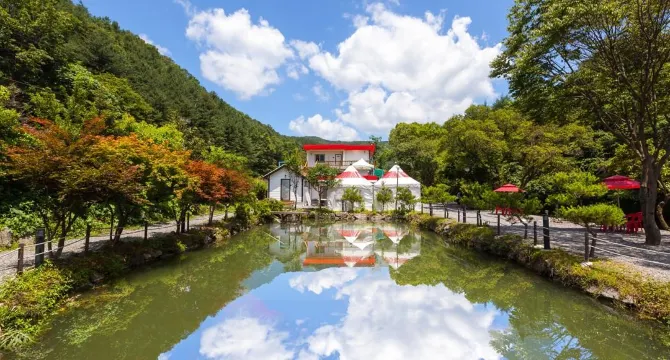 Hongceon Baelribyupensyeon - 괴산군