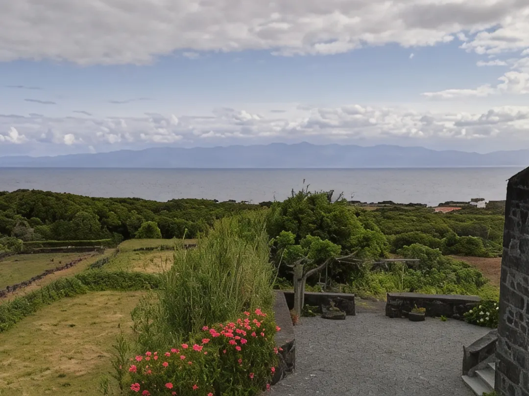 Adegas Do Pico - Azores