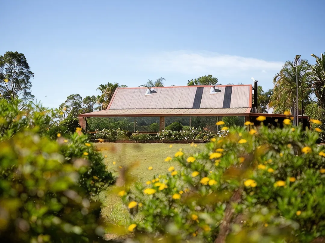 Bluebush Estate - Cessnock