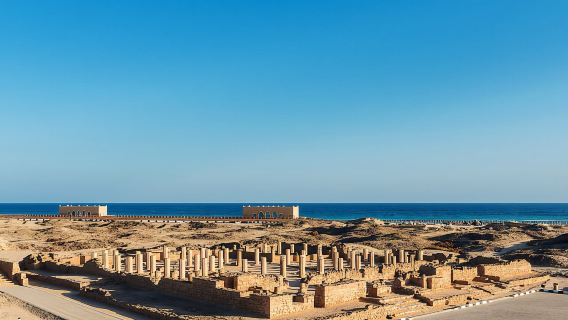 Top 10 Day tours in Salalah [2026] - Book Now on Trip.com