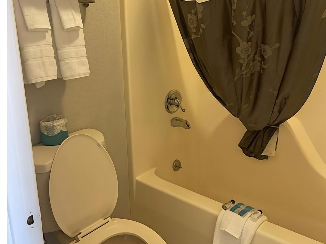 Branson Ozarks Inn - Branson, MO