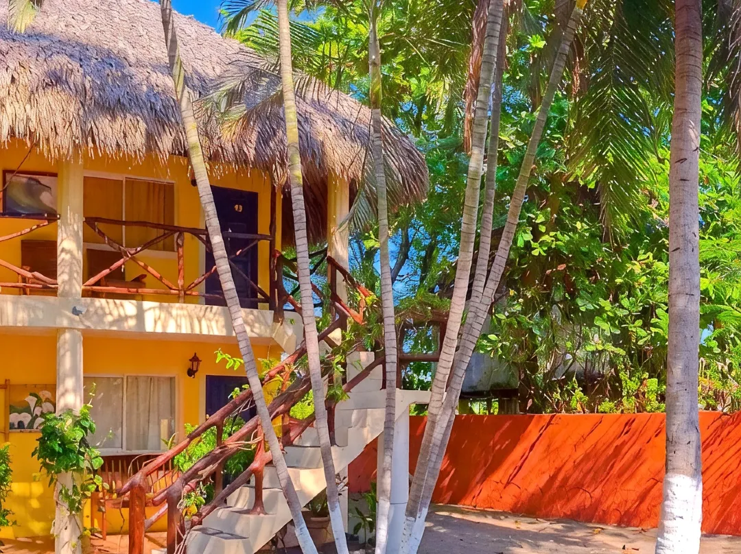 Café Del Sol - Monterrico