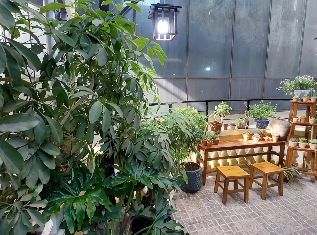 Alley Homestay Lieu Giai - Hanoi