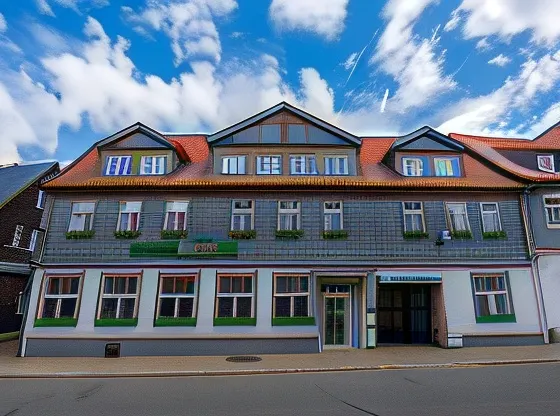 Hotel Die Tanne - Goslar