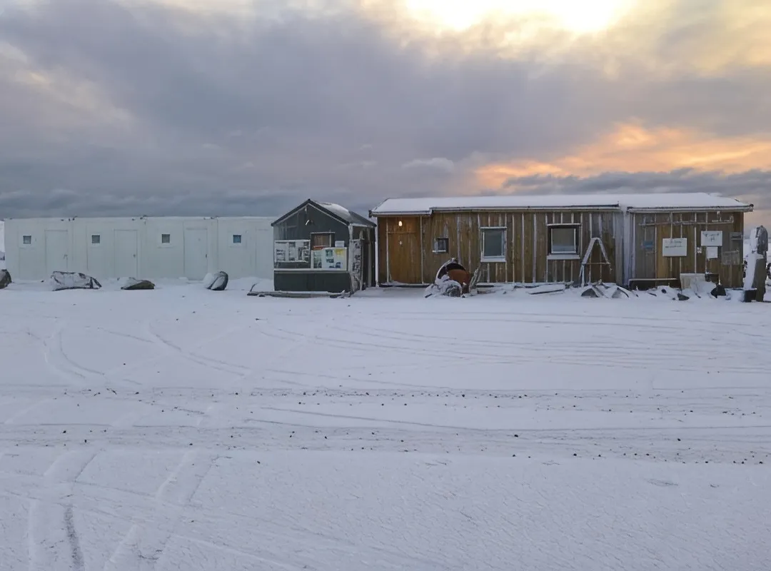 Vikingcafe - Islandia