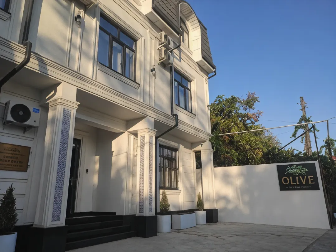 Olive Boutique Hotel, Tashkent - Tashkent