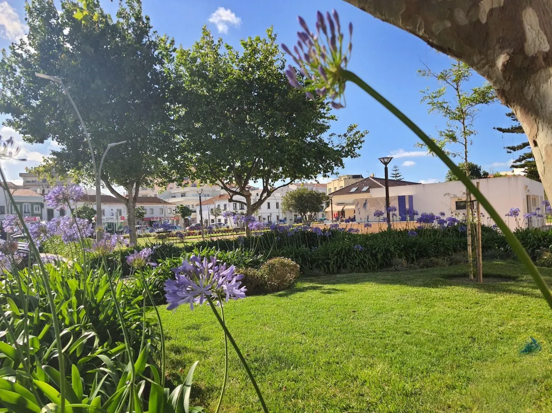Ó Da Casa-typical Portuguese Guest House - Peniche