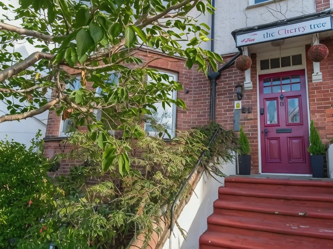 The Cherry Tree B&b - Eastbourne