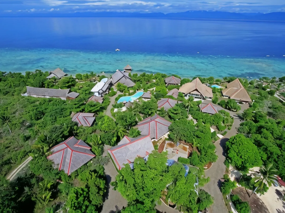 Dolphin House Resort Spa Diving - Moalboal