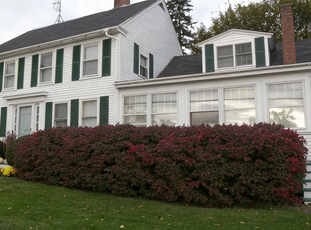Cedar Crest Inn - Camden, ME
