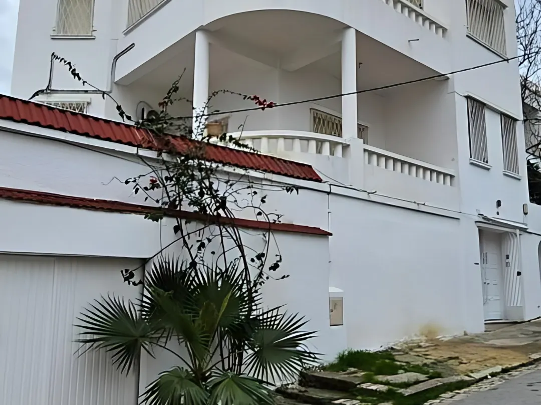 Nomads Hostel Tunisia - Tunis