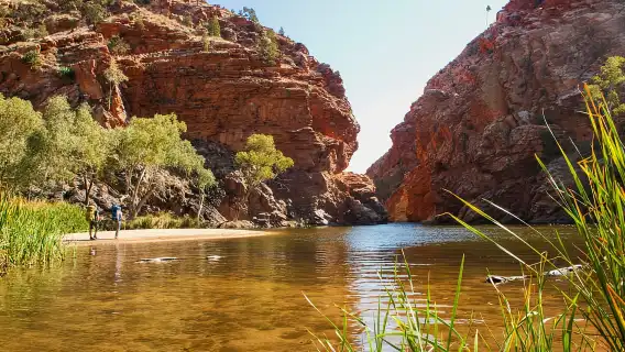 Alice Springs Tour to West MacDonnell Ranges with Lunch | Trip.com