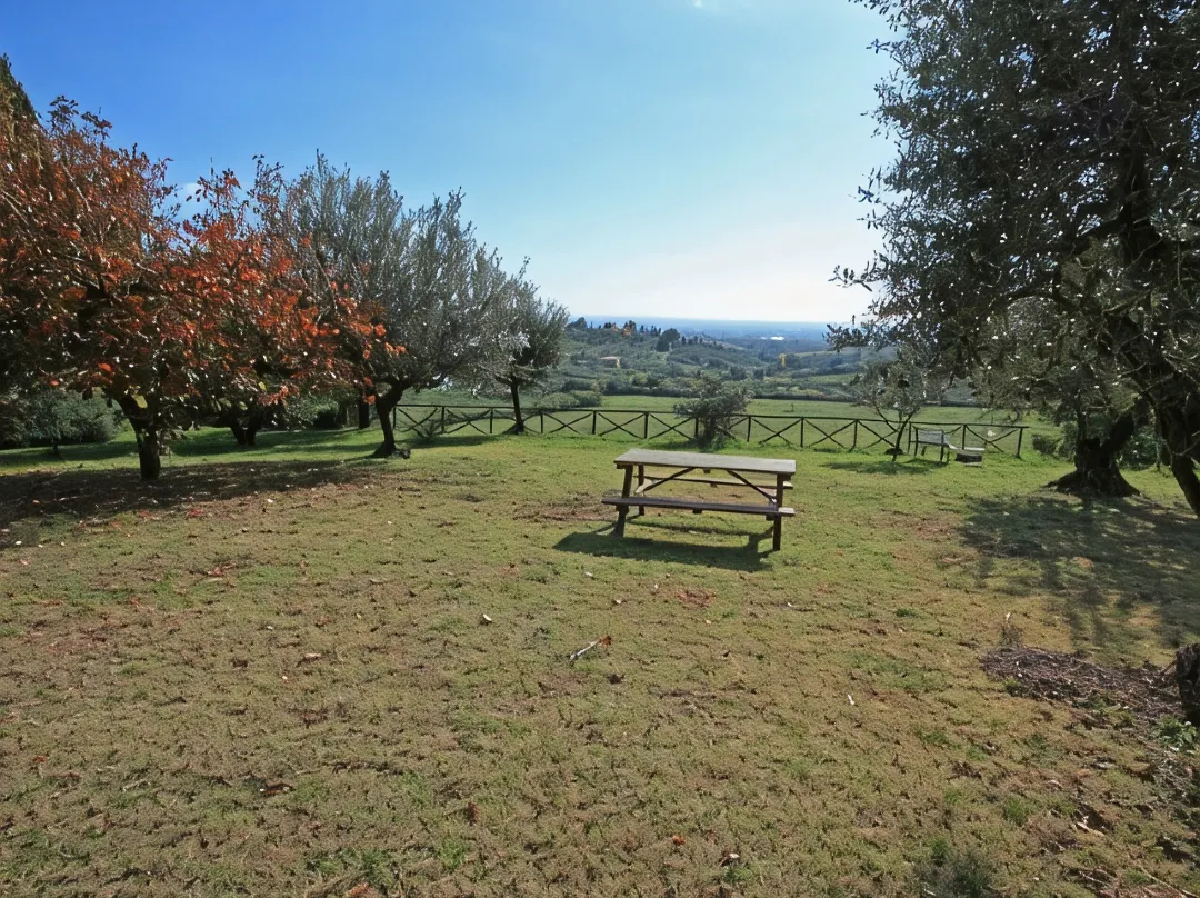 Glicine - Vigna Luisa Resort - Lazio