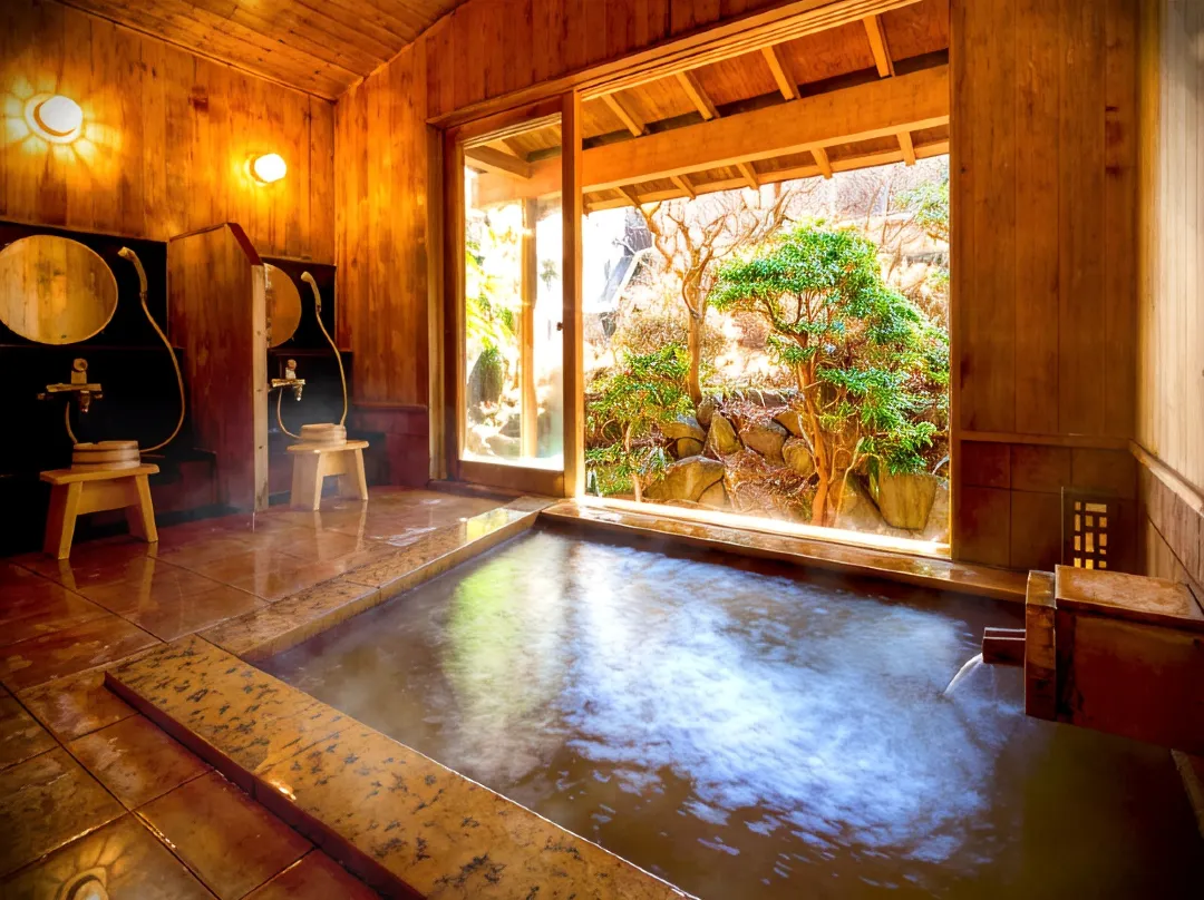 Ryokan Pinon - Shibukawa
