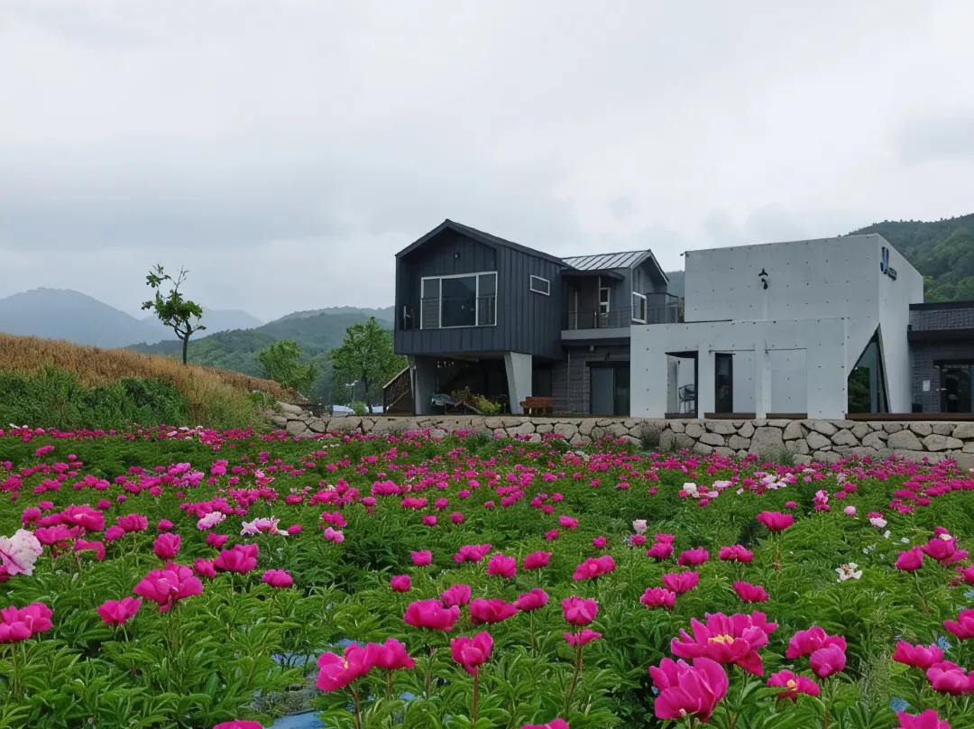 Gyeongju Jj Gallery Cafe Pension - Gyeongju-si